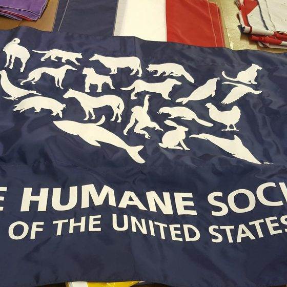 Custom Flags – Betsy Ross Ameriflag